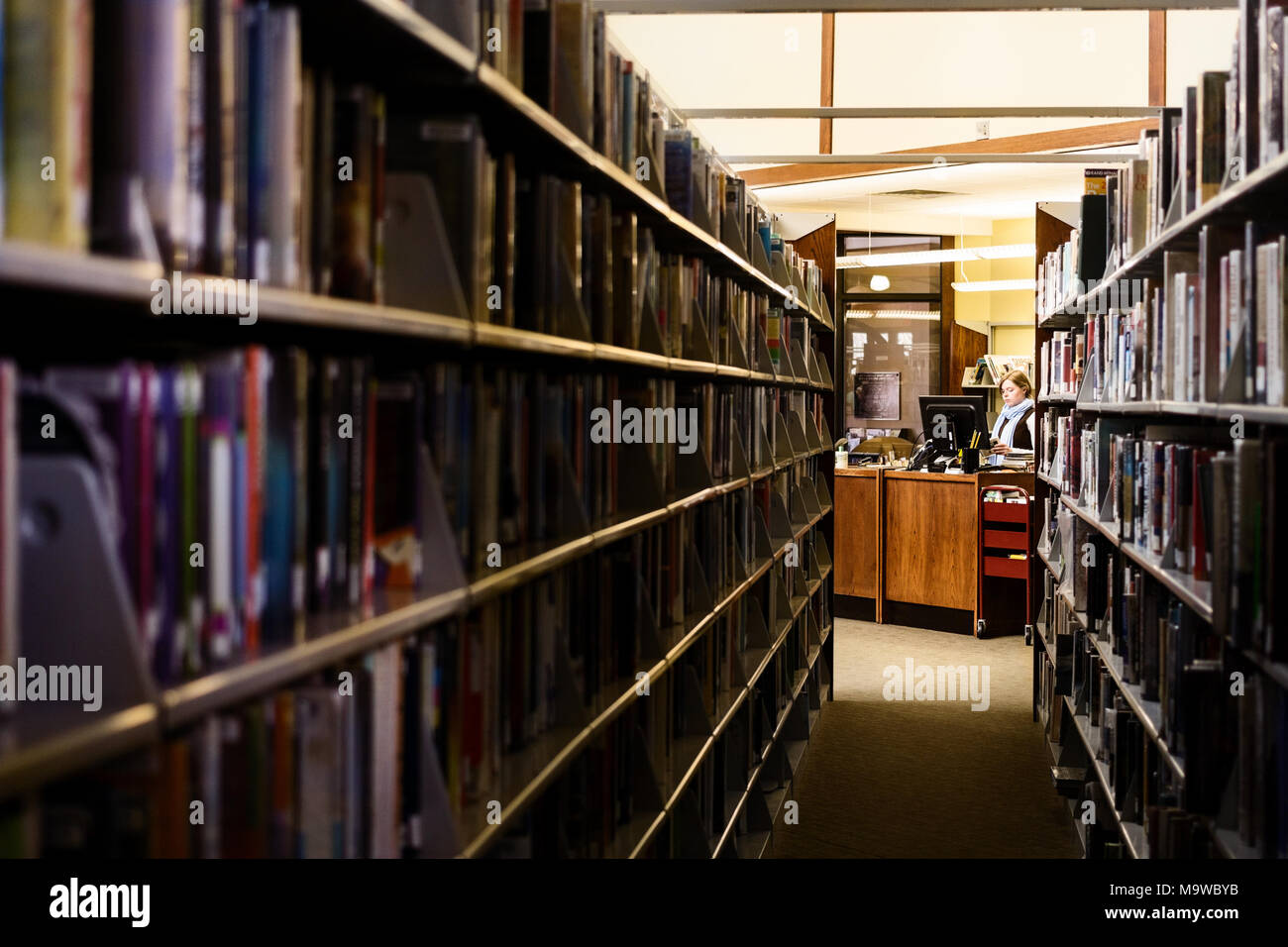 Ein bibliothekar -Fotos und -Bildmaterial in hoher Auflösung – Alamy
