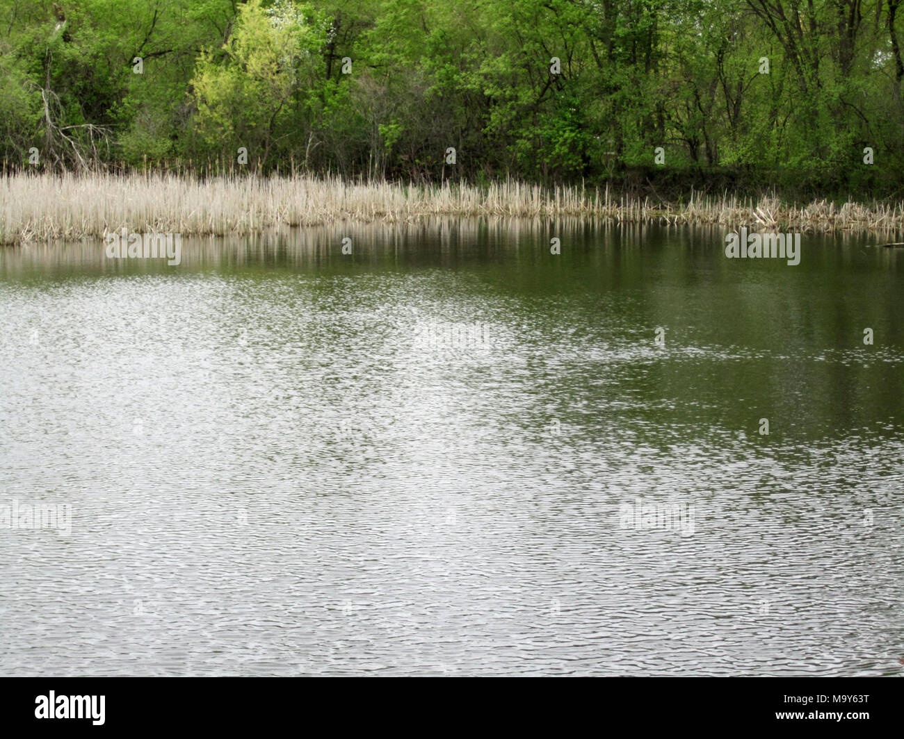 Bass ponds -Fotos und -Bildmaterial in hoher Auflösung – Alamy