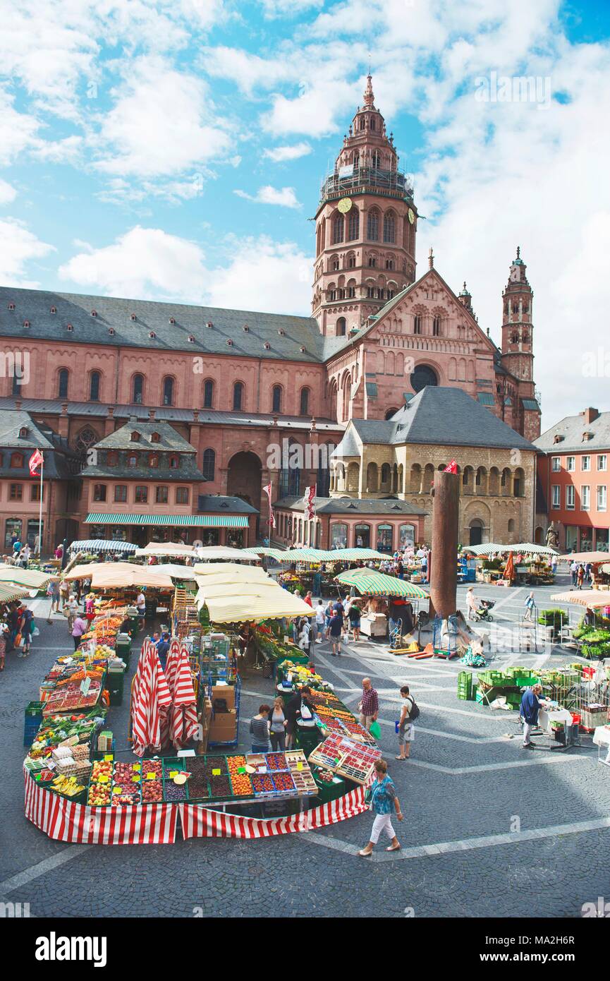 Wochenmarkt mainz domplatz -Fotos und -Bildmaterial in hoher Auflösung ...