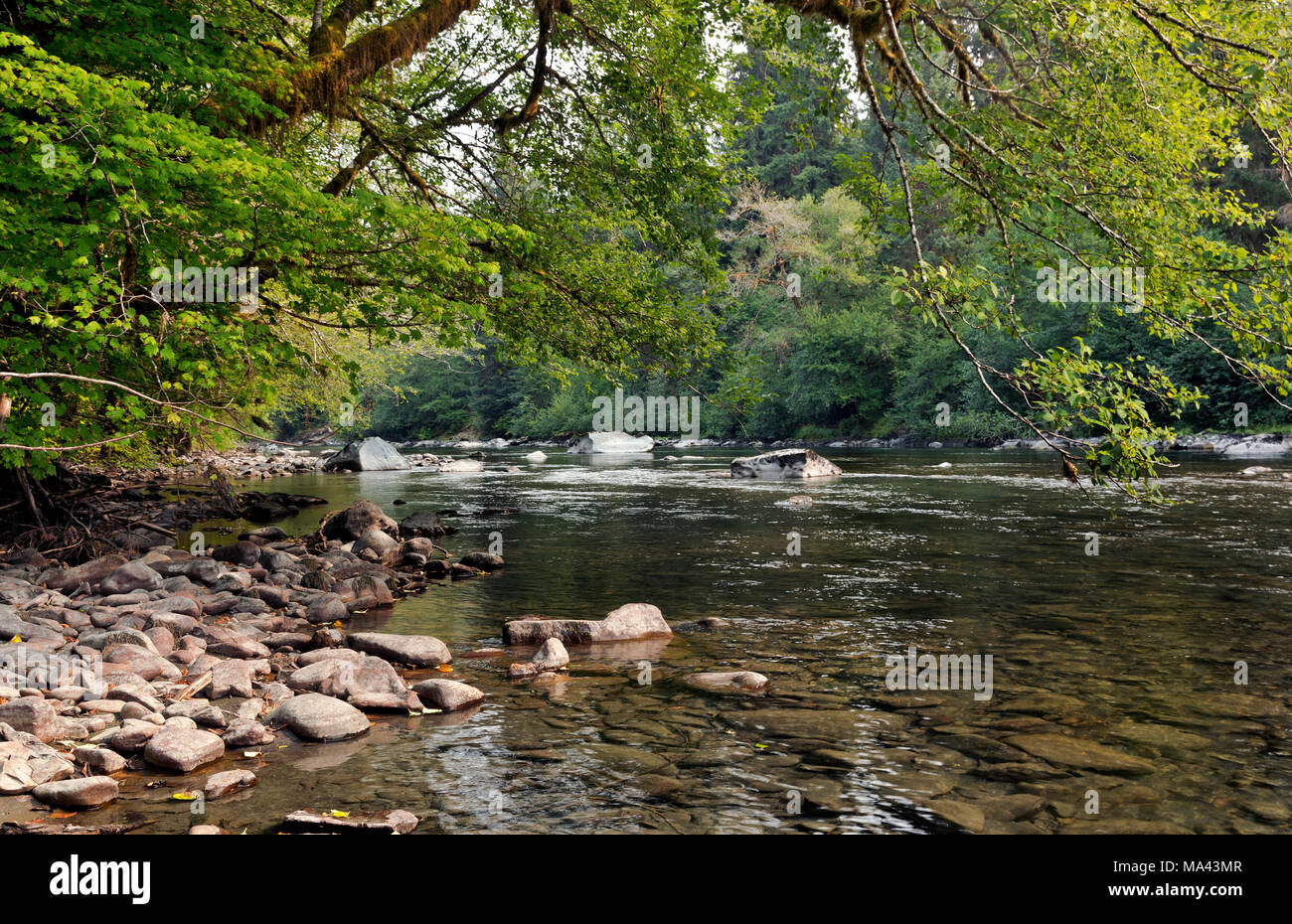 Wildnis horizontale nps -Fotos und -Bildmaterial in hoher Auflösung – Alamy