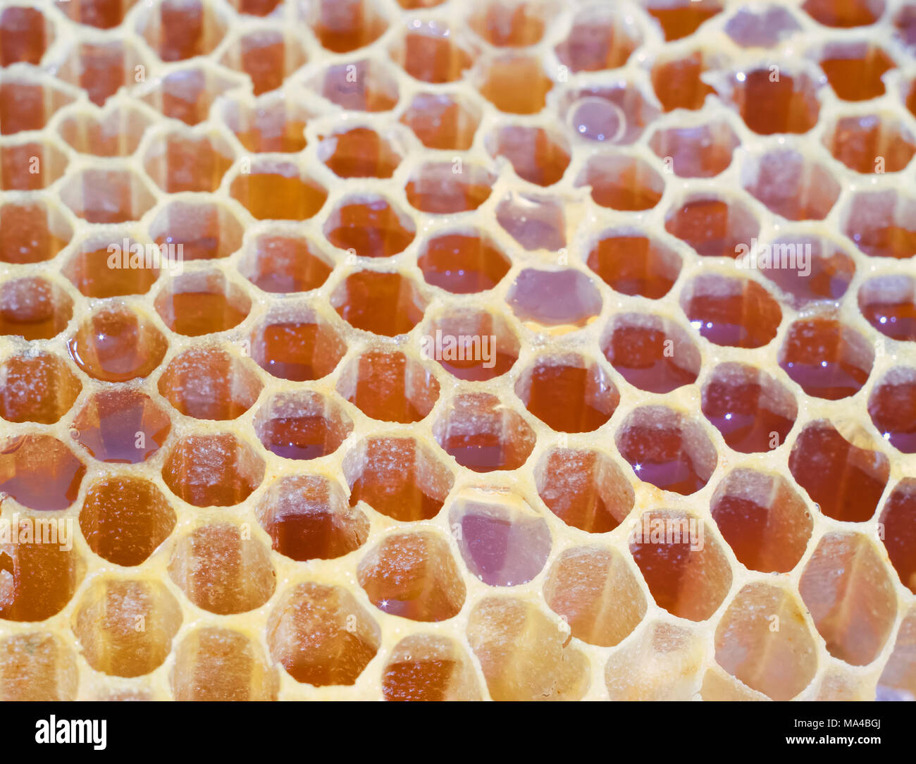 Biene Bienenwaben. Die Struktur der Waben mit Honig gefüllt ...