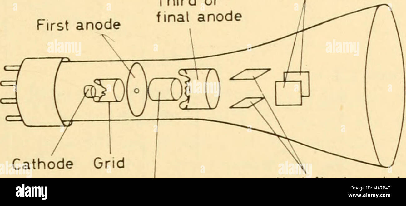 . Elektronische Geräte für die biologische Forschung. Kathode oder ...