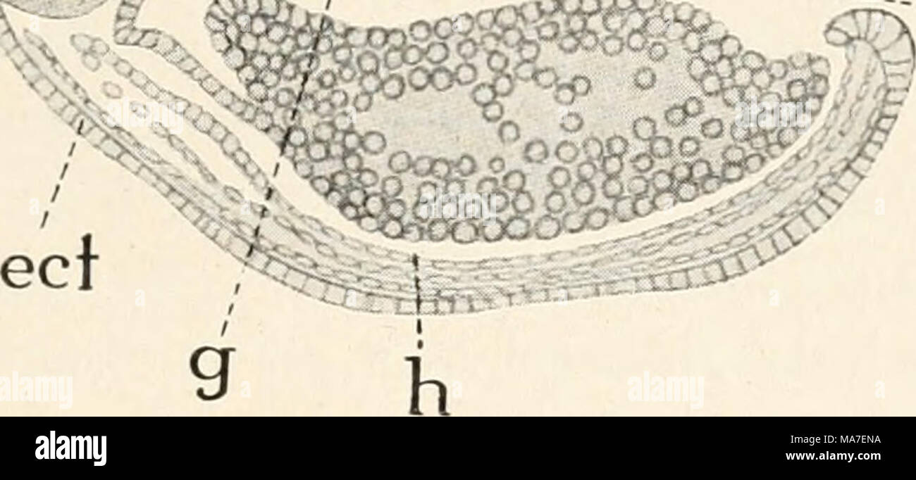 Einfache verbindung -Fotos und -Bildmaterial in hoher Auflösung – Alamy