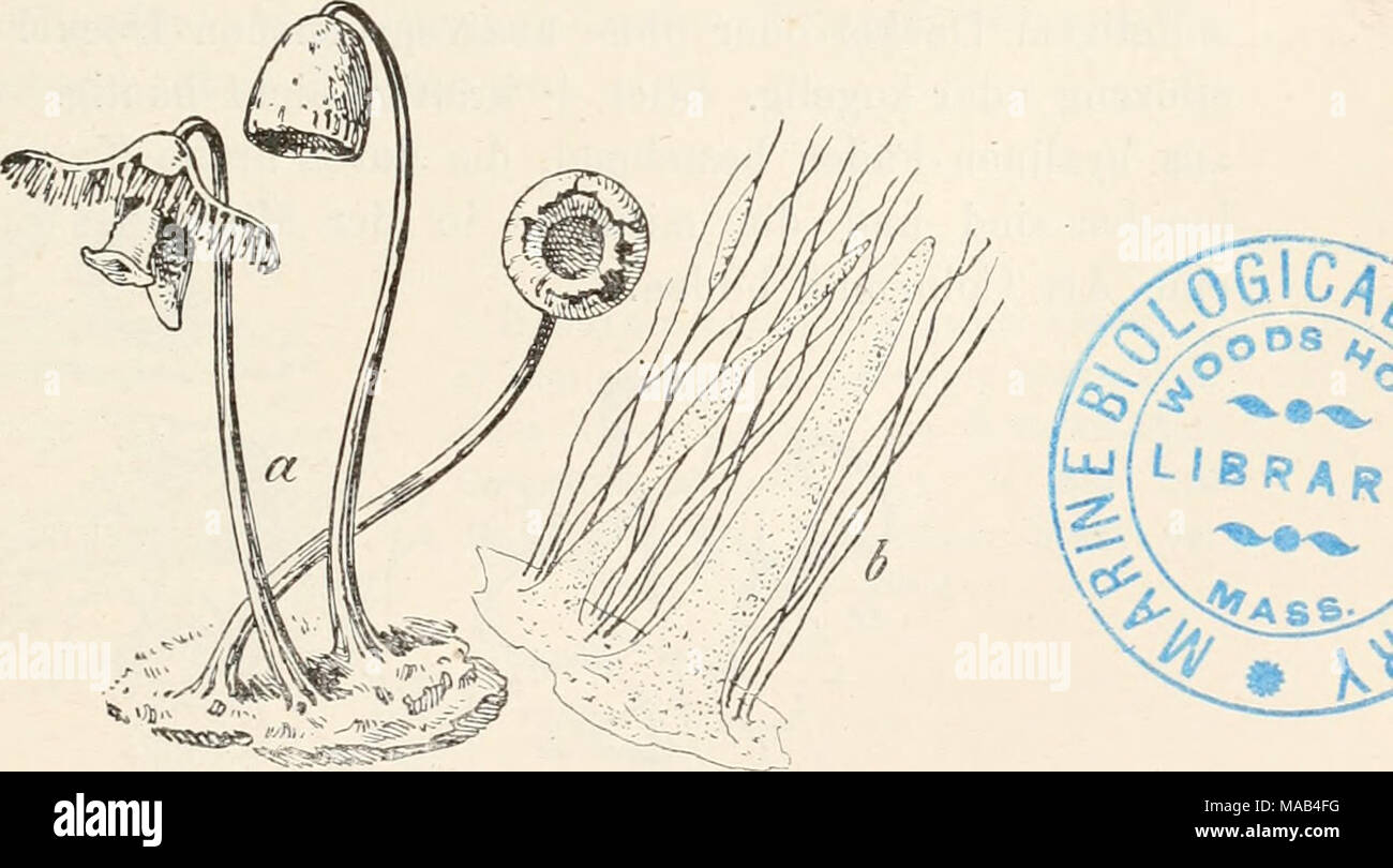 Teil a und b -Fotos und -Bildmaterial in hoher Auflösung – Alamy