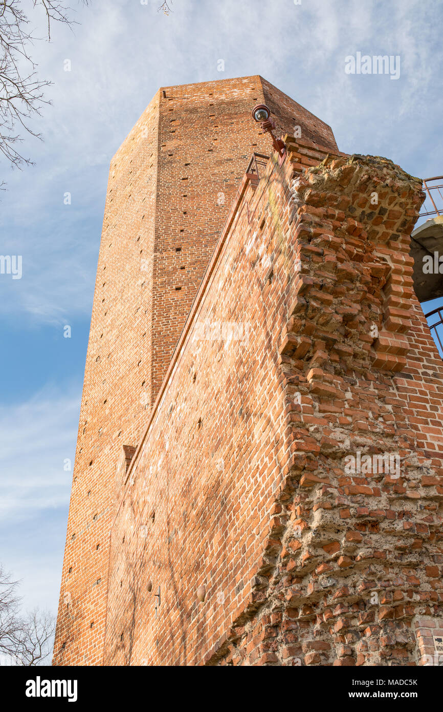 Mysia wieza -Fotos und -Bildmaterial in hoher Auflösung – Alamy