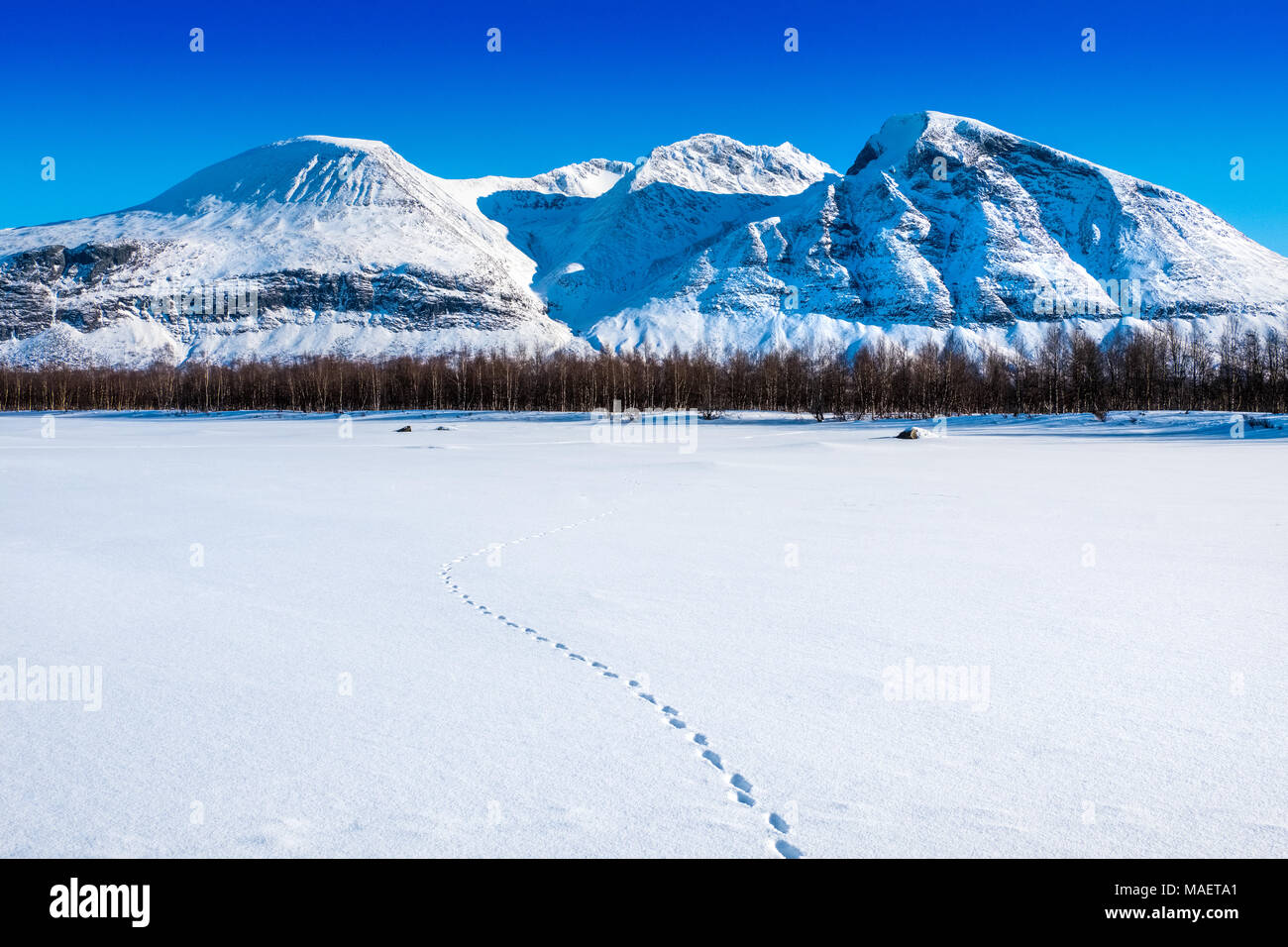 Berg in lappland -Fotos und -Bildmaterial in hoher Auflösung – Alamy