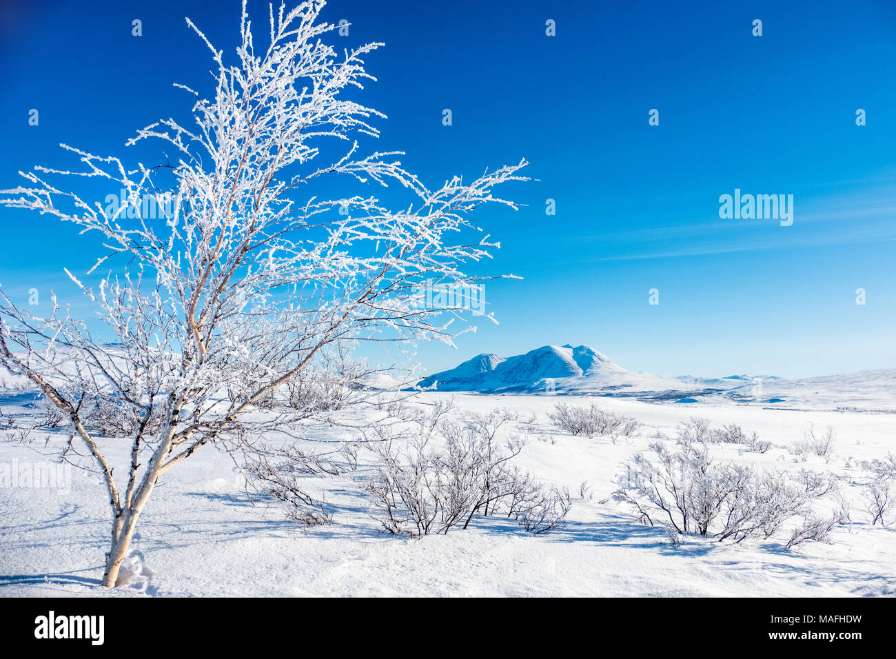 Gruppe im winter -Fotos und -Bildmaterial in hoher Auflösung – Alamy