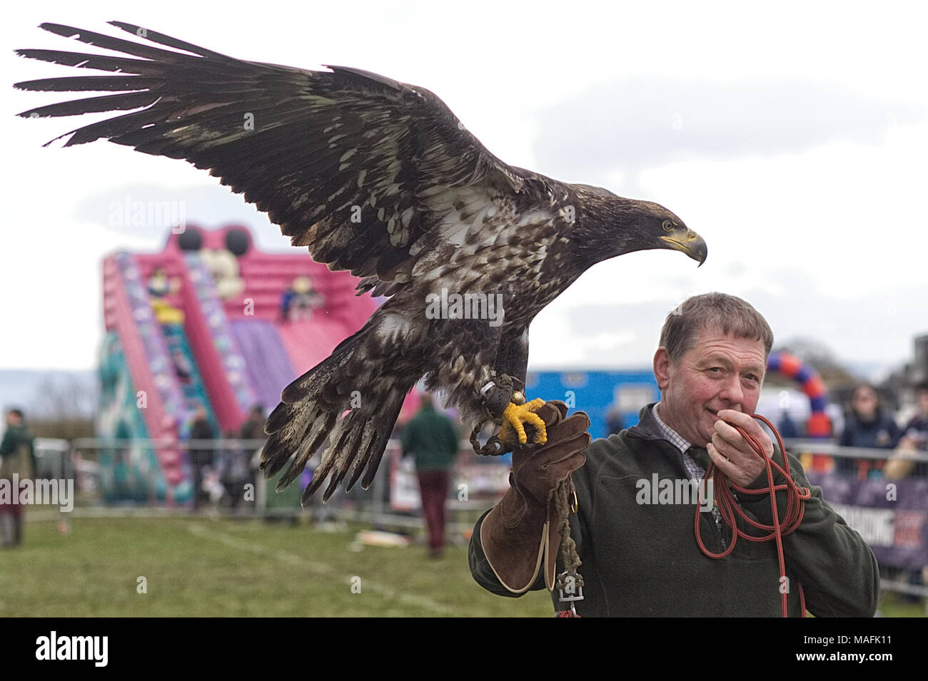Falknerei ausrüstung -Fotos und -Bildmaterial in hoher Auflösung – Alamy