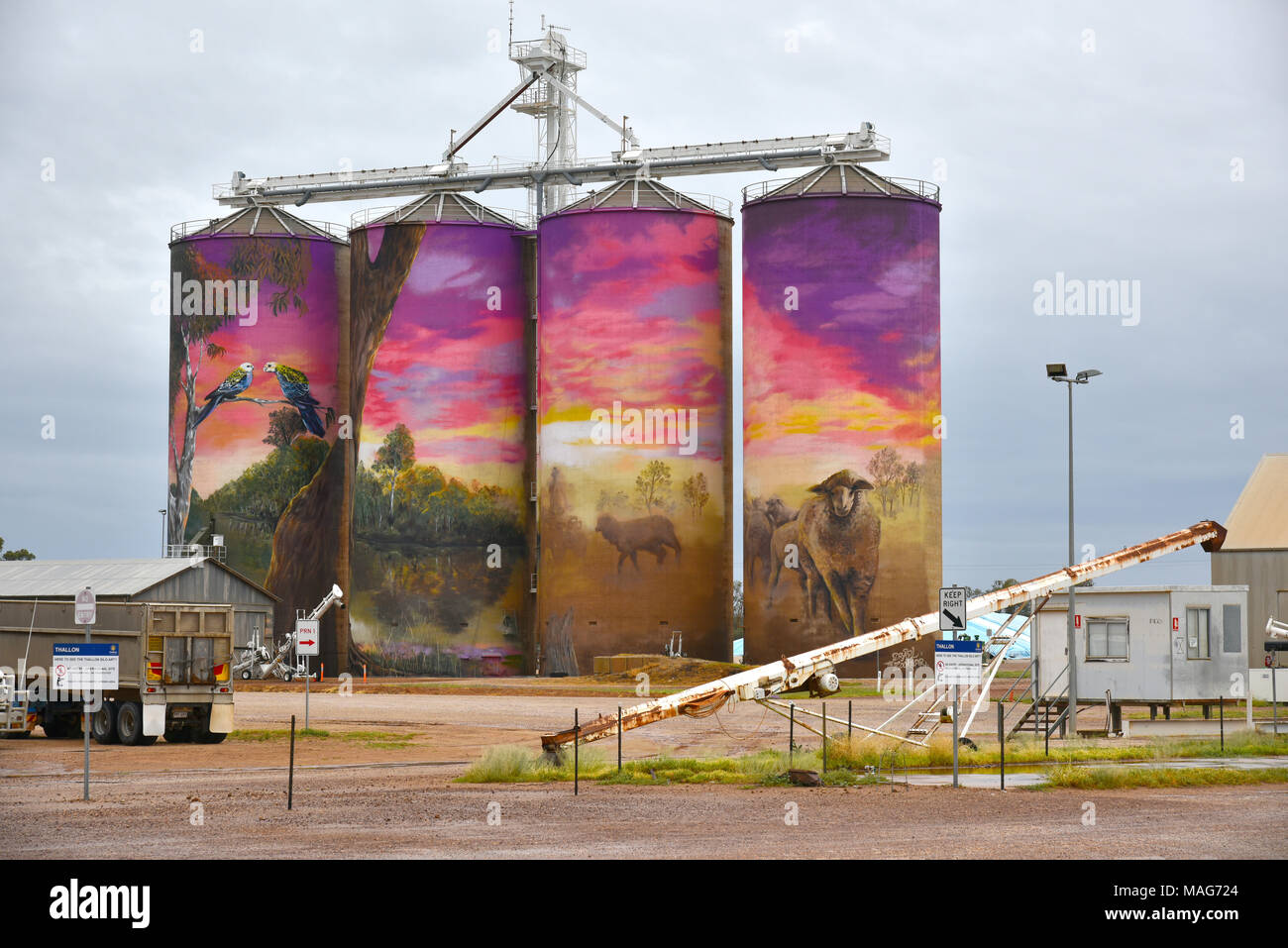 Thallon queensland -Fotos und -Bildmaterial in hoher Auflösung – Alamy