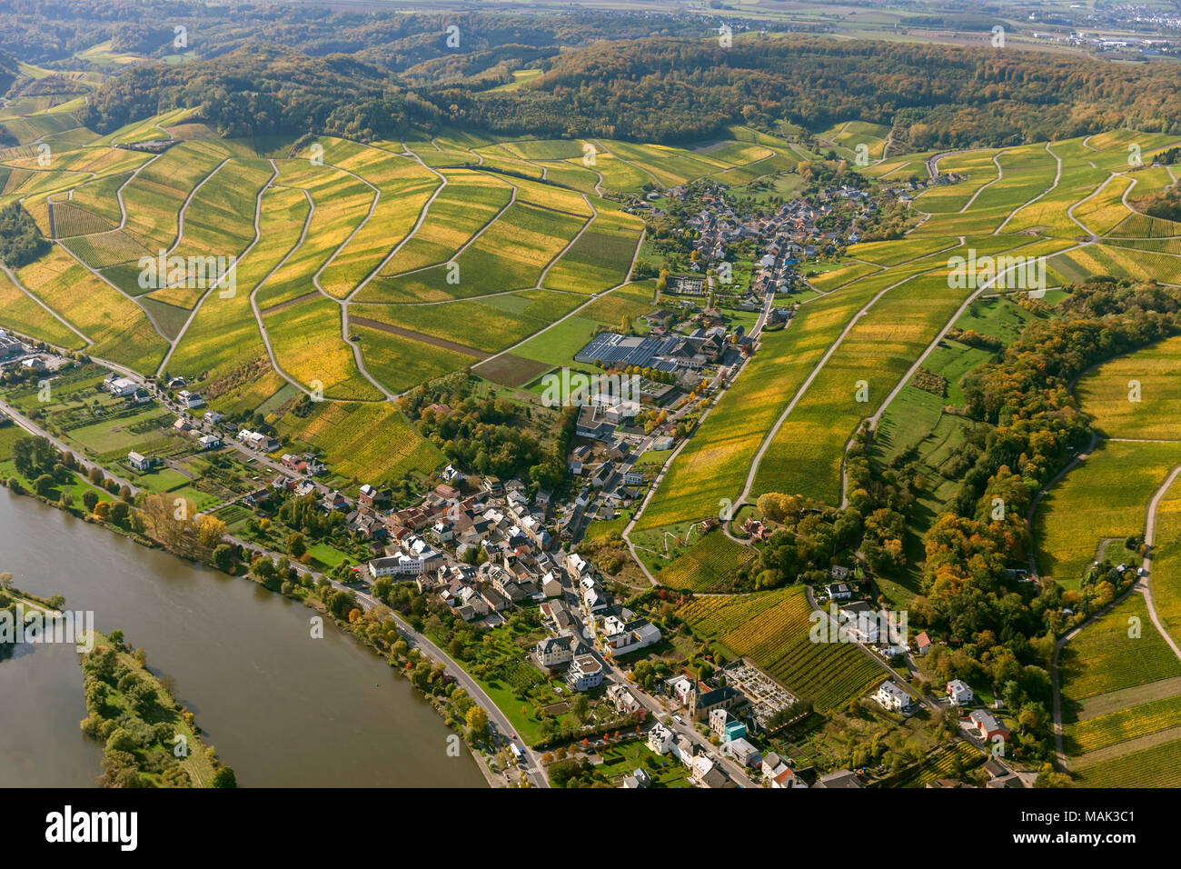 Weinbaugebiet Mosel, Weinberge, Remich Luxemburg, Saarland ...