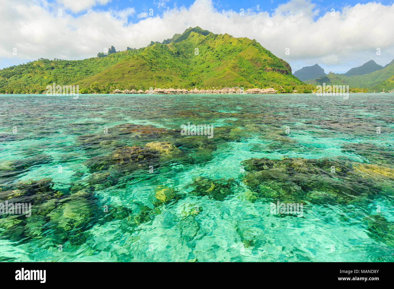 Insel hintergrund -Fotos und -Bildmaterial in hoher Auflösung – Alamy