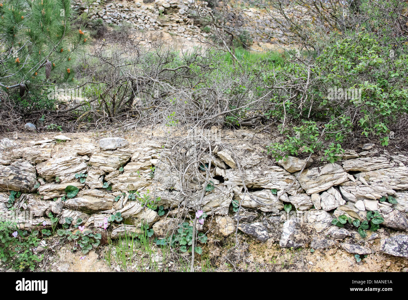 Natur und Landschaft rund um Jerusalem in Israel Landschaft und Natur ...