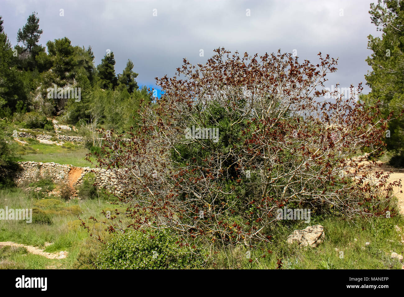 Natur und Landschaft rund um Jerusalem in Israel Landschaft und Natur ...
