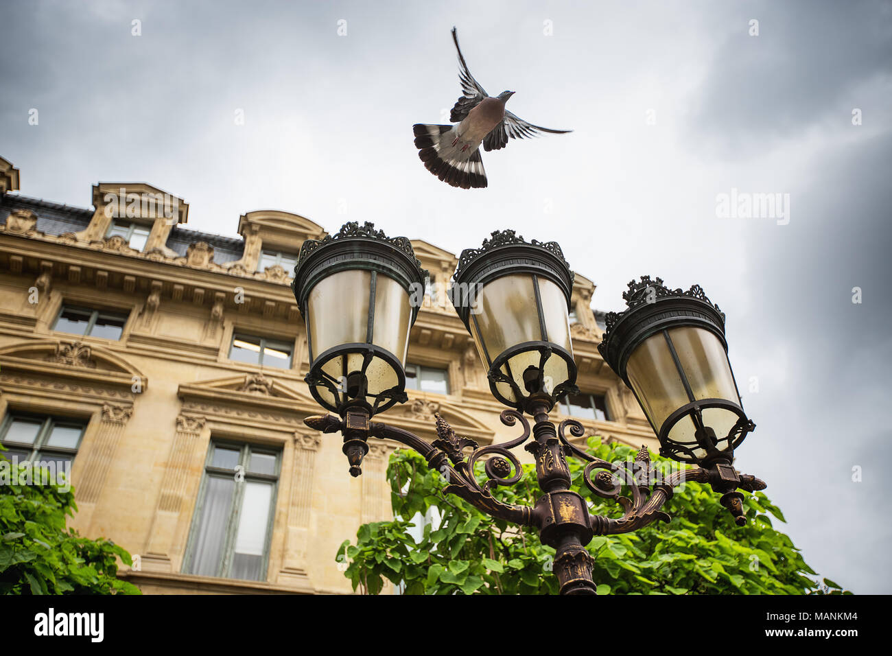 Paris lamppost street lamp -Fotos und -Bildmaterial in hoher Auflösung ...