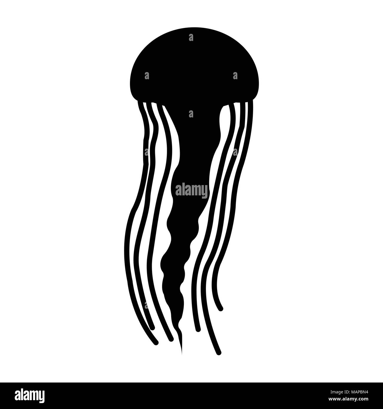 Quallen vektor vektoren -Fotos und -Bildmaterial in hoher Auflösung – Alamy