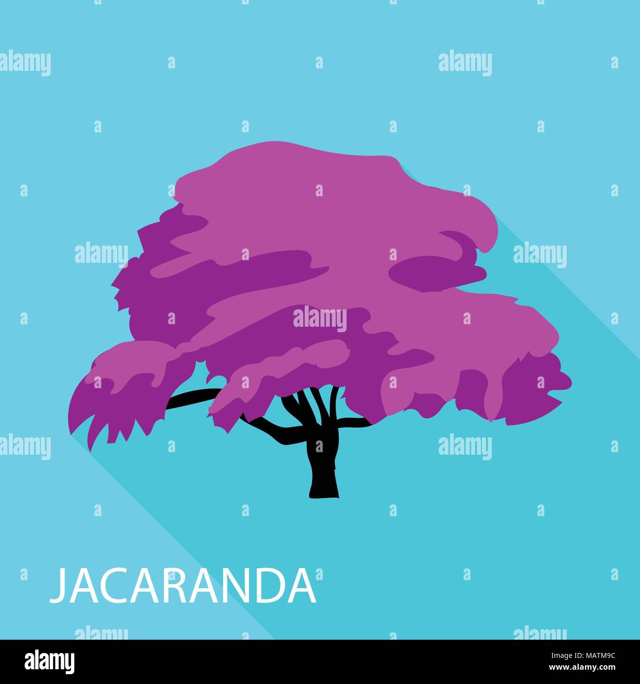 Jacaranda baum Stock-Vektorgrafiken kaufen - Alamy