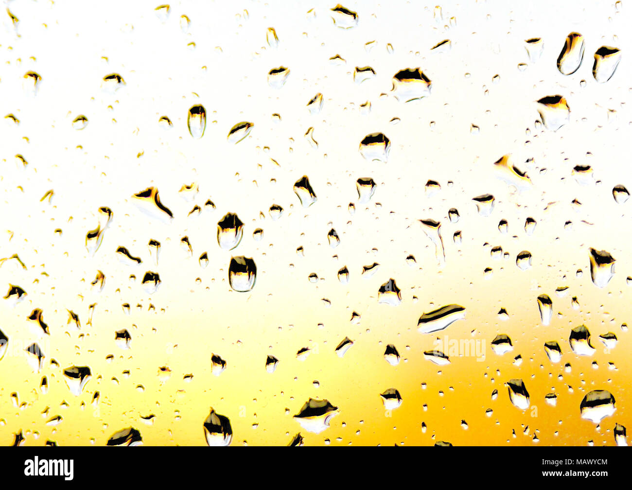 Many raindrops -Fotos und -Bildmaterial in hoher Auflösung – Alamy