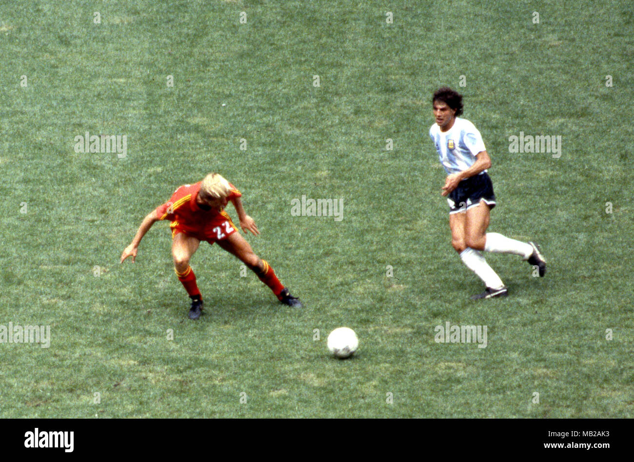 Patrick vervoort -Fotos und -Bildmaterial in hoher Auflösung – Alamy