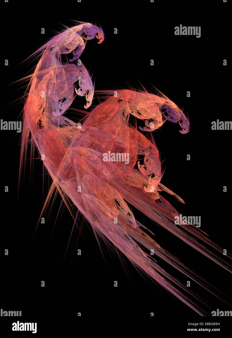 Fractal patterns -Fotos und -Bildmaterial in hoher Auflösung – Alamy