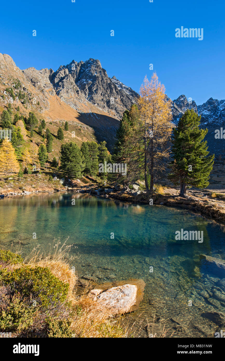 Berglisee bei -Fotos und -Bildmaterial in hoher Auflösung – Alamy