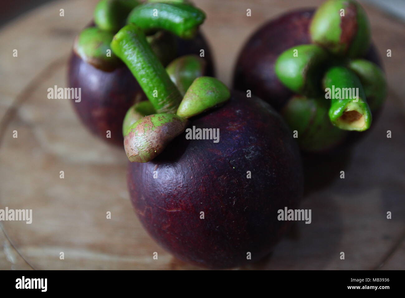 Purple mangosteen tree -Fotos und -Bildmaterial in hoher Auflösung – Alamy