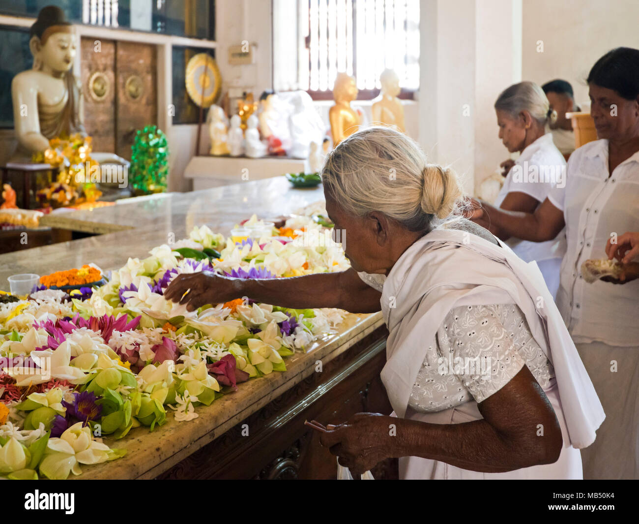 Sri maha bodhi tempel -Fotos und -Bildmaterial in hoher Auflösung – Alamy