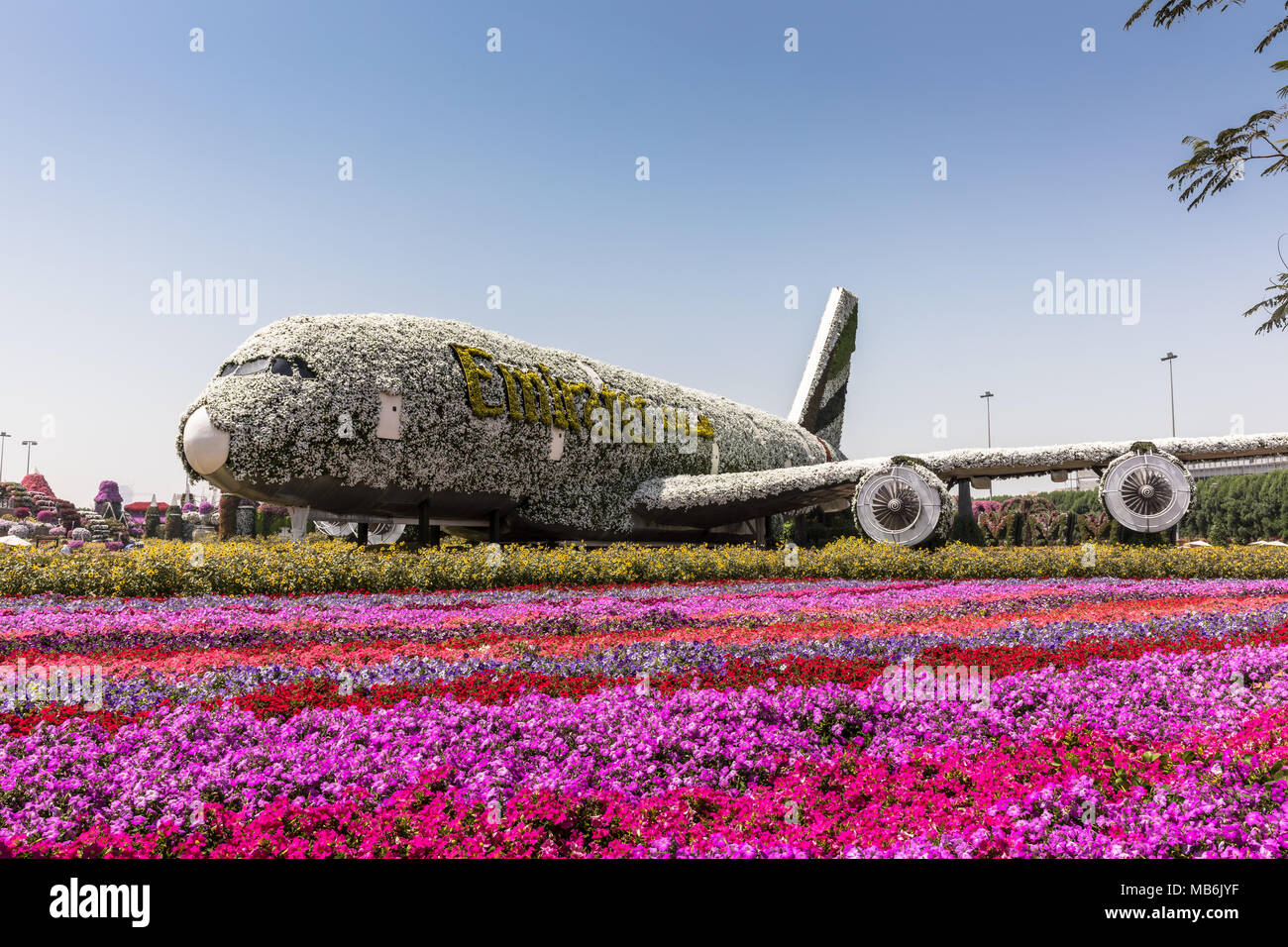 Dubai miracle garden -Fotos und -Bildmaterial in hoher Auflösung – Alamy