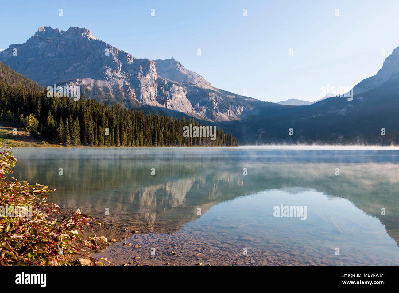 Wapta montieren -Fotos und -Bildmaterial in hoher Auflösung – Alamy