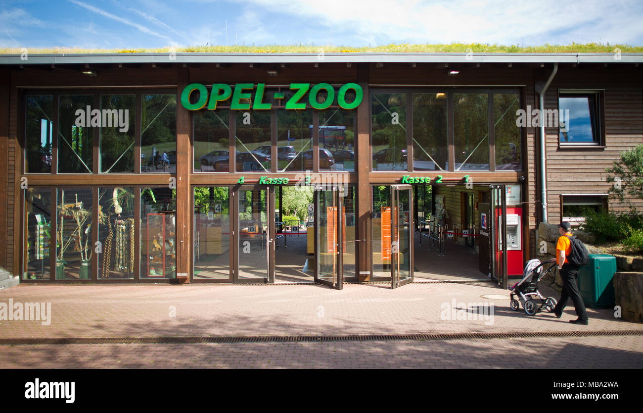 Opel zoo -Fotos und -Bildmaterial in hoher Auflösung – Alamy