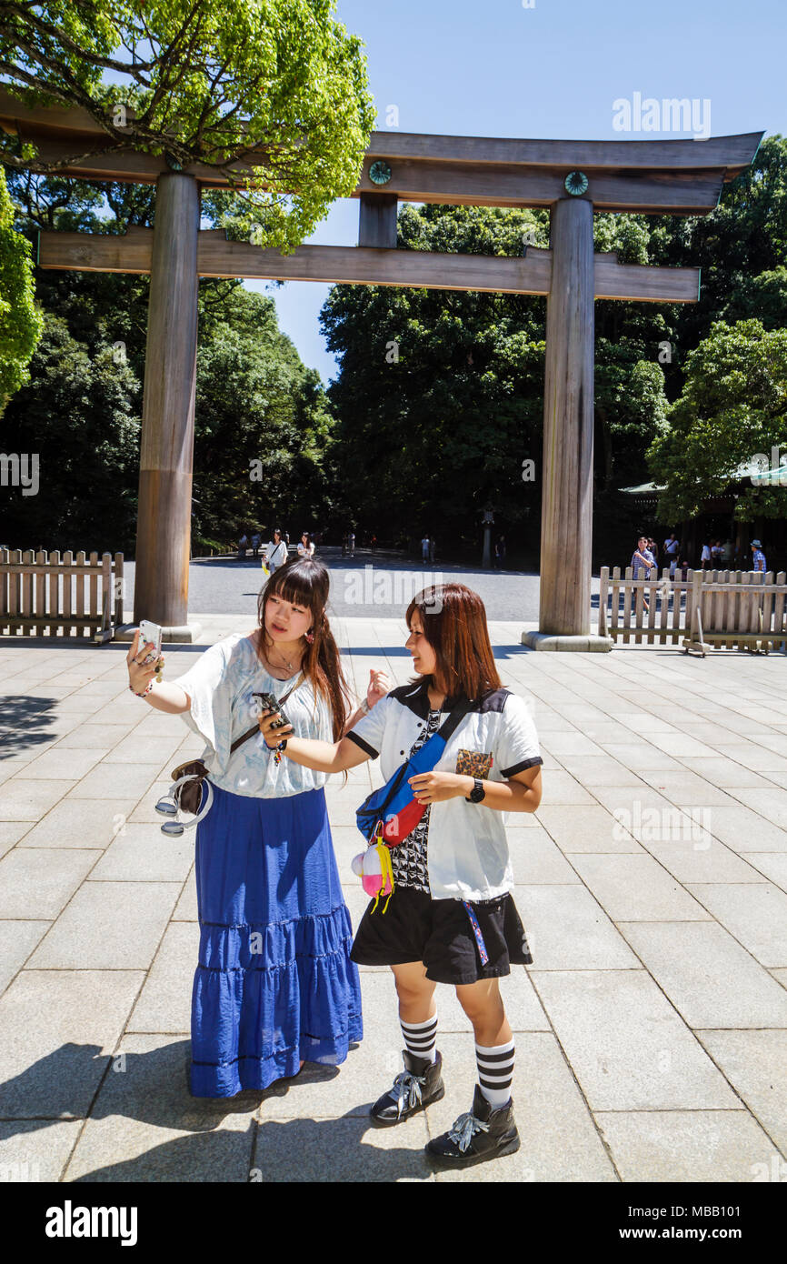 Japanischer torbogen -Fotos und -Bildmaterial in hoher Auflösung – Alamy