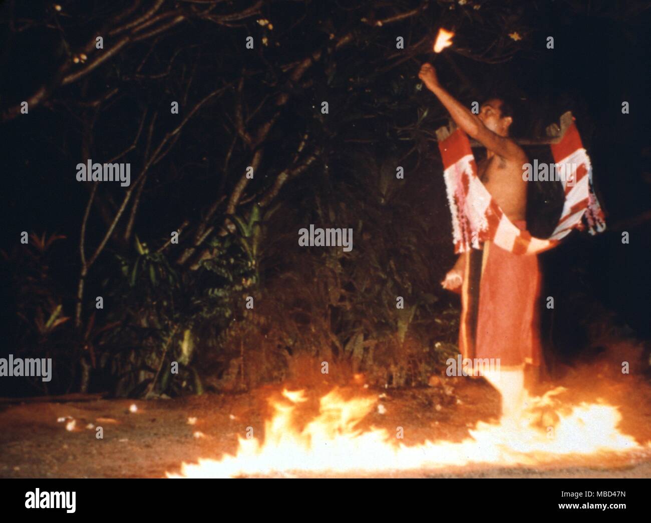 Feuer gehen - ritual Fire walking act - das einzige Licht, das aus den Flammen des Feuers. In ...