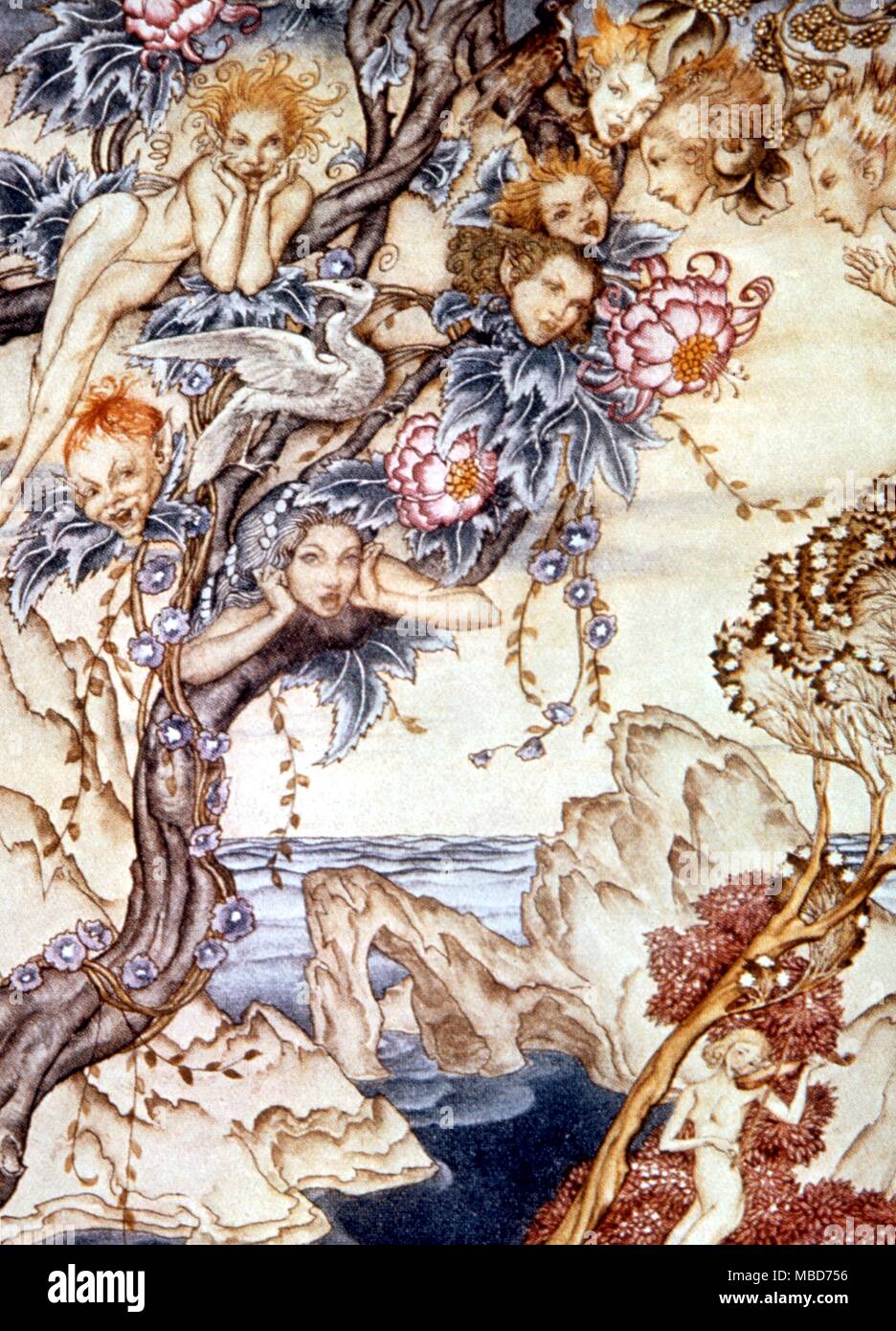 Feen - Die Insel ist voller Geräusche - Illustration zu der Edition ...