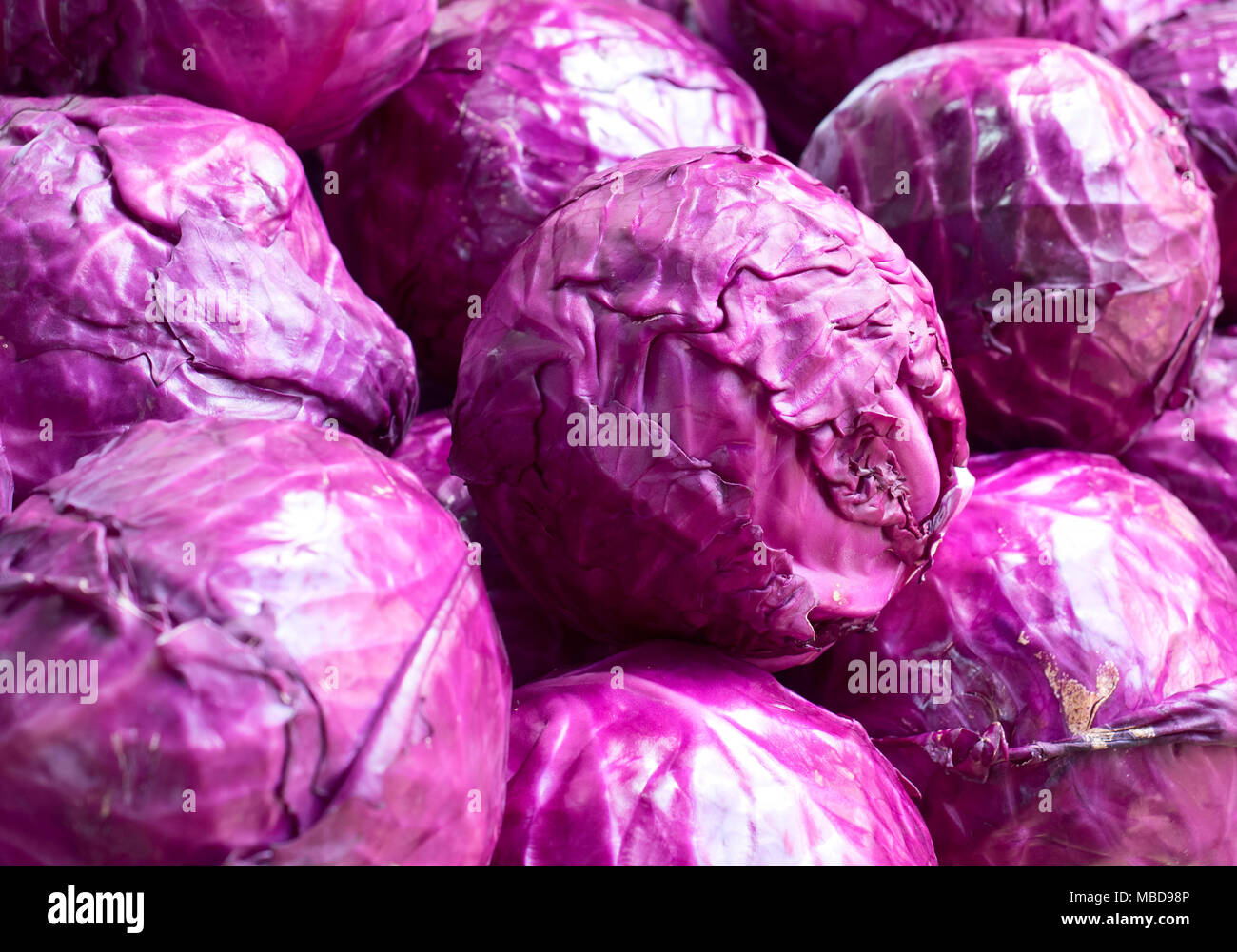Violettes gemüse -Fotos und -Bildmaterial in hoher Auflösung – Alamy