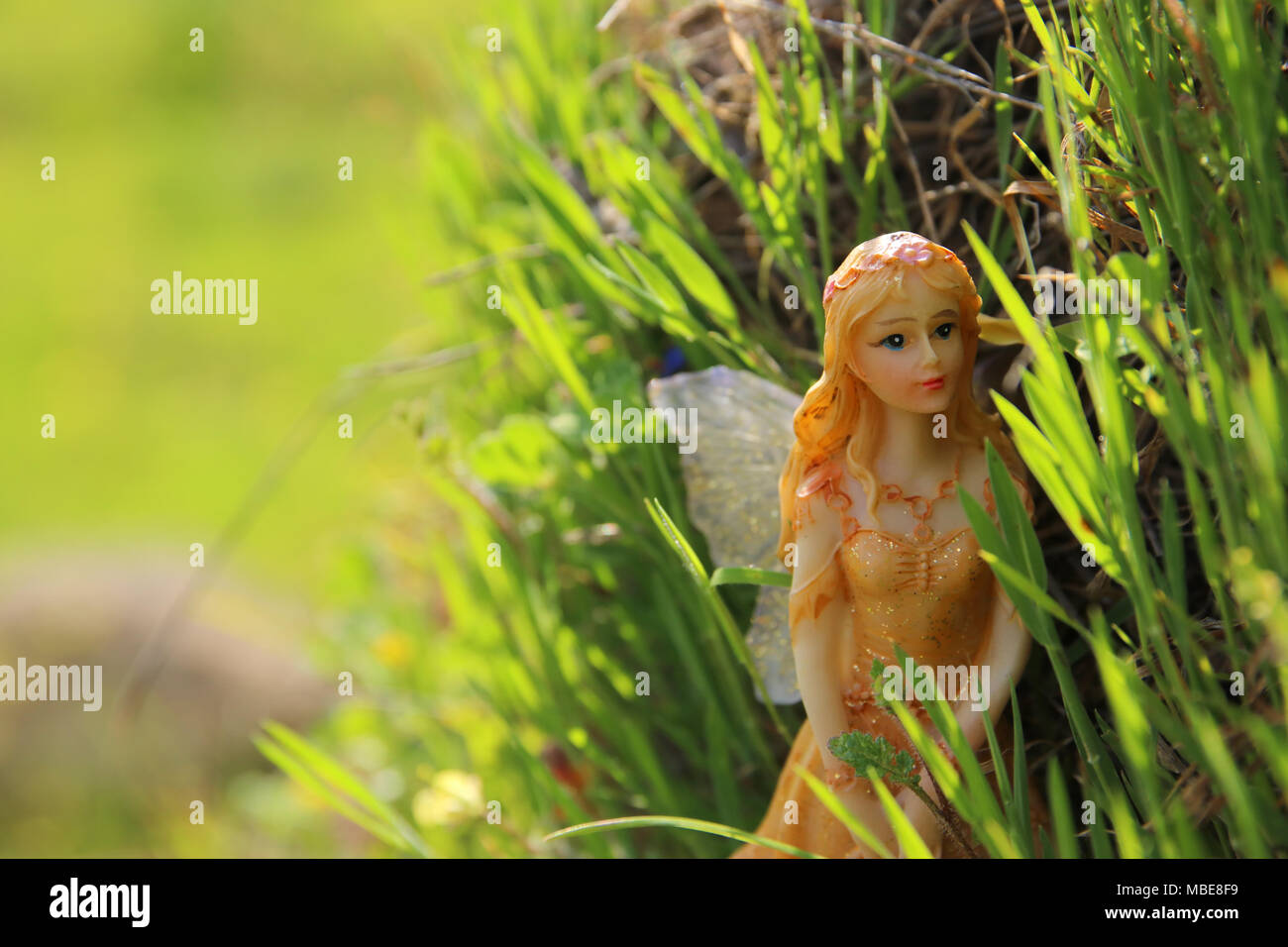 Fee im wald -Fotos und -Bildmaterial in hoher Auflösung – Alamy