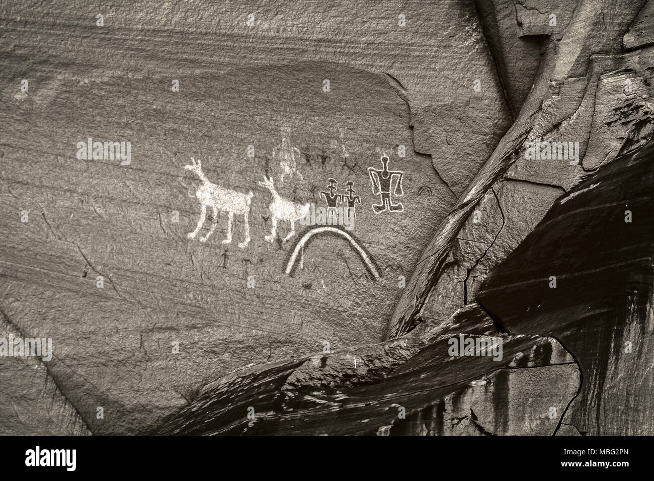 Native American Painting On Animal Stockfotos und -bilder Kaufen - Alamy