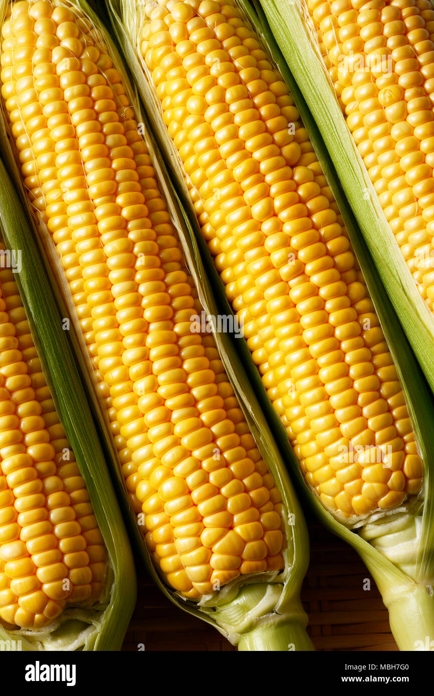 Agricultural objects -Fotos und -Bildmaterial in hoher Auflösung – Alamy