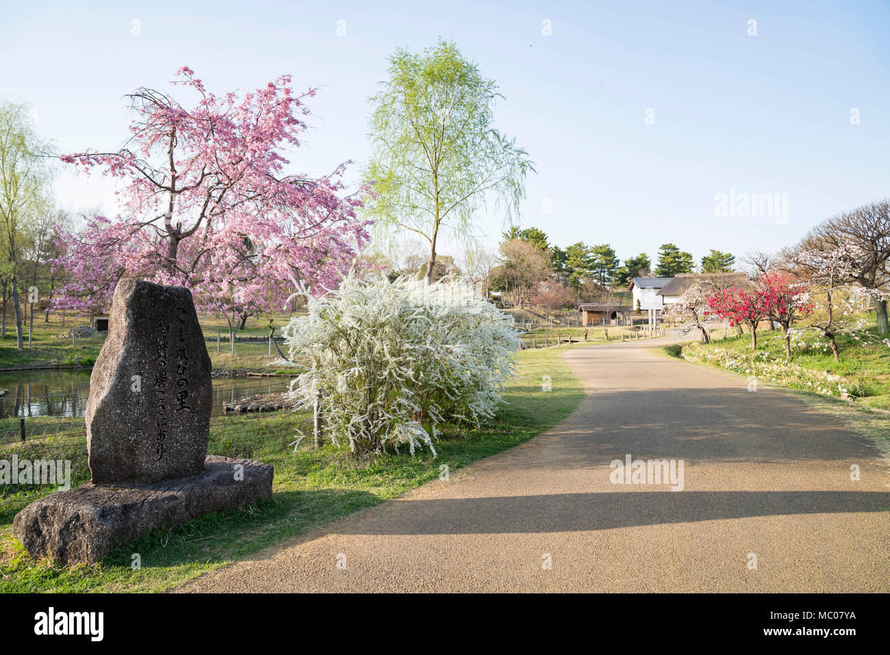 Akishima city -Fotos und -Bildmaterial in hoher Auflösung – Alamy