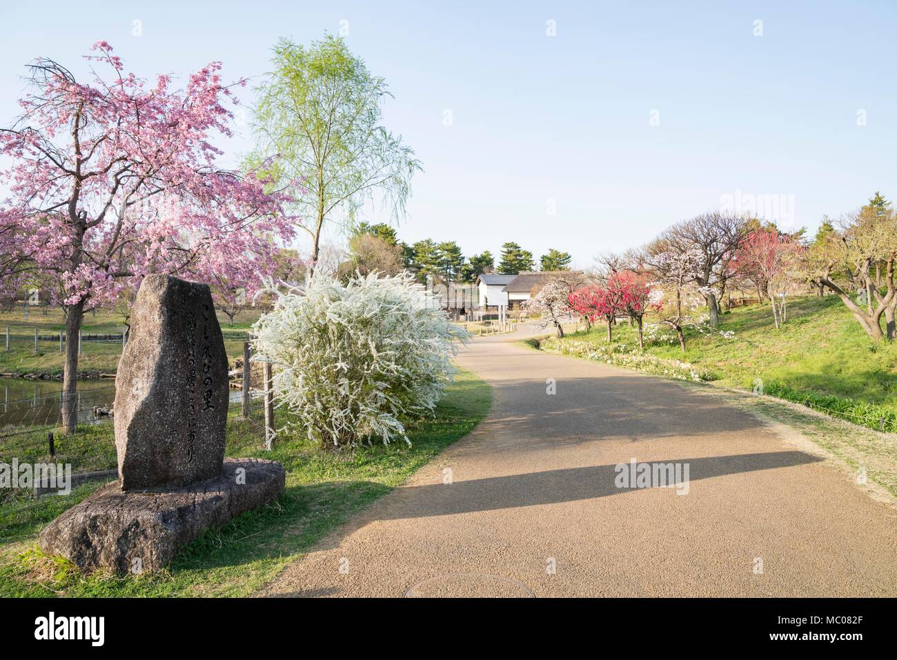 Akishima city -Fotos und -Bildmaterial in hoher Auflösung – Alamy