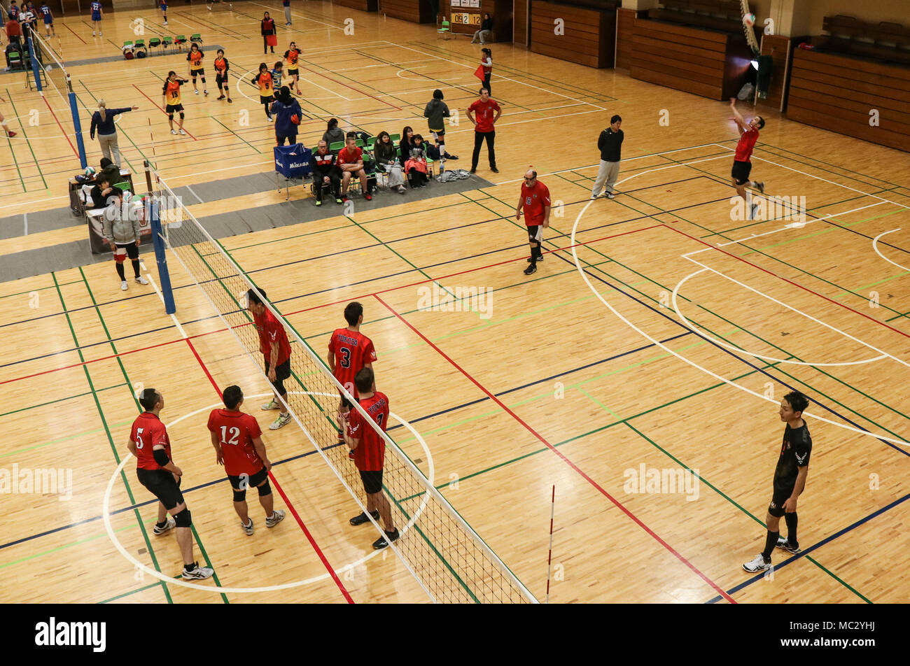 Trey weiß, Varsity Volleyball die Yokota Männer player, bereitet die ...