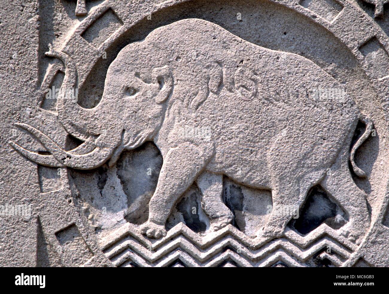 Tiere mammut -Fotos und -Bildmaterial in hoher Auflösung – Alamy