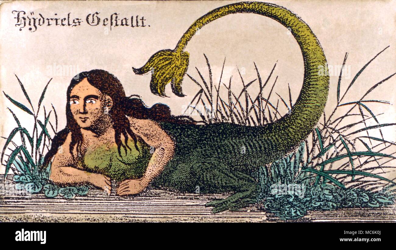 Mermaid legs -Fotos und -Bildmaterial in hoher Auflösung – Alamy