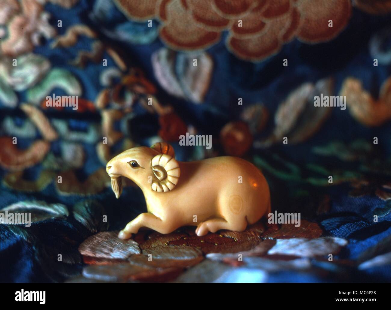 Widder tier -Fotos und -Bildmaterial in hoher Auflösung – Alamy