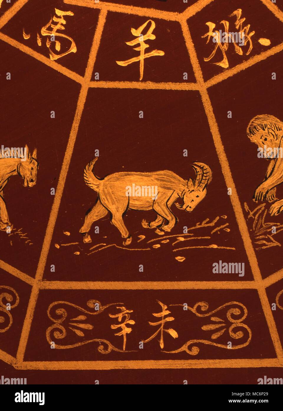 Widder tier -Fotos und -Bildmaterial in hoher Auflösung – Alamy