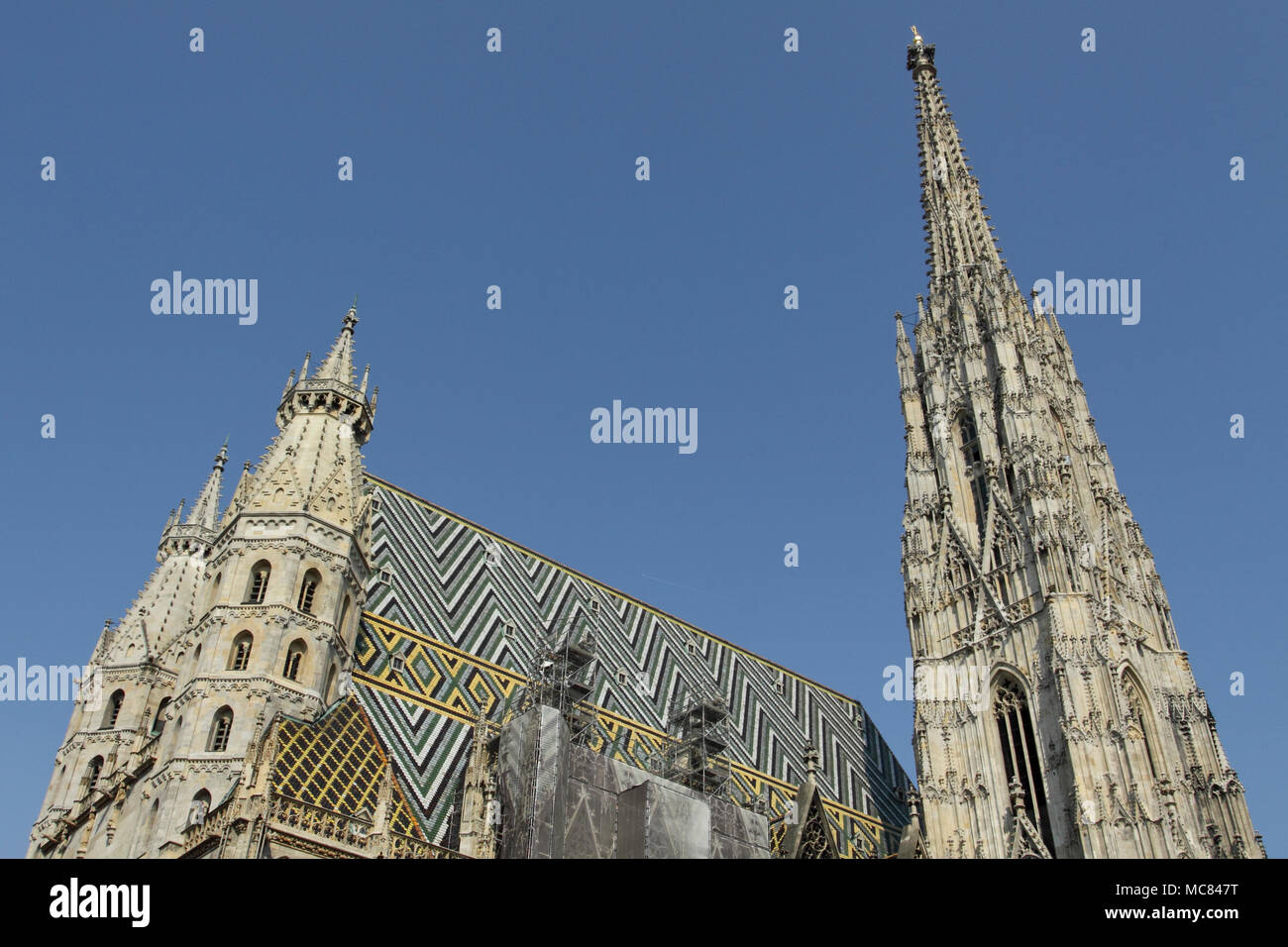 Stephansdom (Stephansdom) in Wien, Österreich Stockfotografie - Alamy