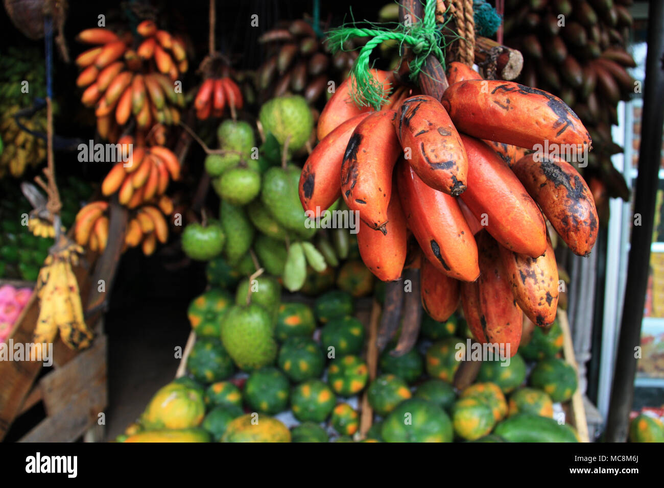Bananen auf der ganzen welt -Fotos und -Bildmaterial in hoher Auflösung ...