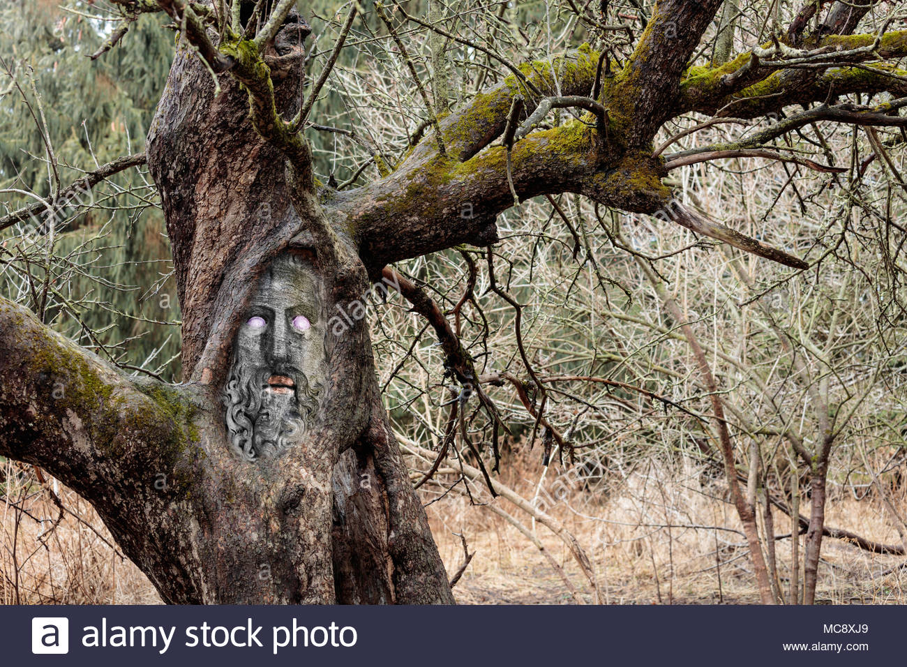 Spirit Halloween Stockfotos & Spirit Halloween Bilder - Alamy