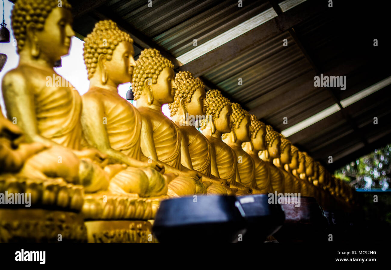 Statuen von lord buddha -Fotos und -Bildmaterial in hoher Auflösung – Alamy