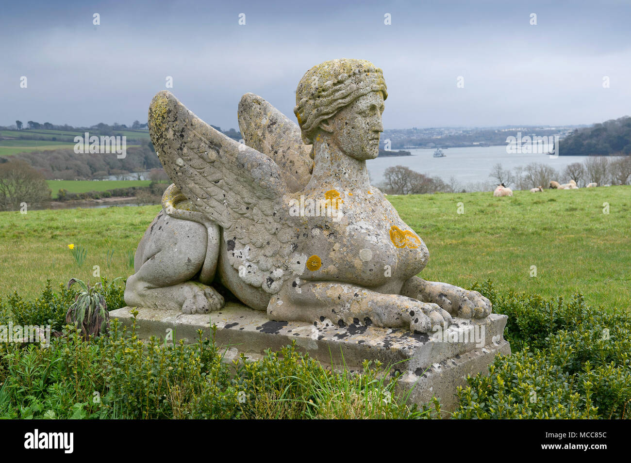 Simon Boyd Stockfotos und -bilder Kaufen - Alamy