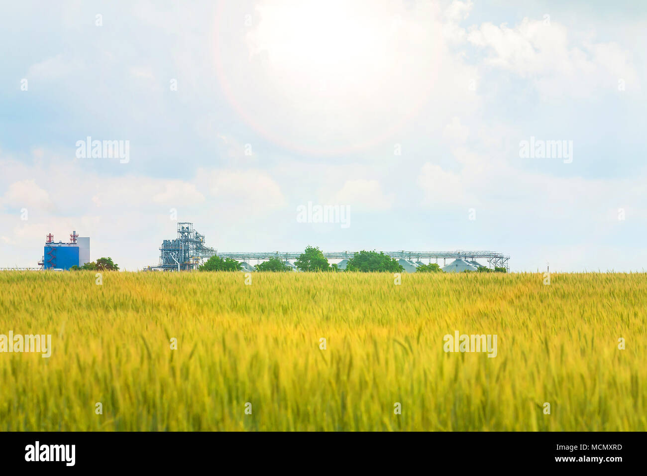 Ernte usa weizenfeld silo -Fotos und -Bildmaterial in hoher Auflösung ...