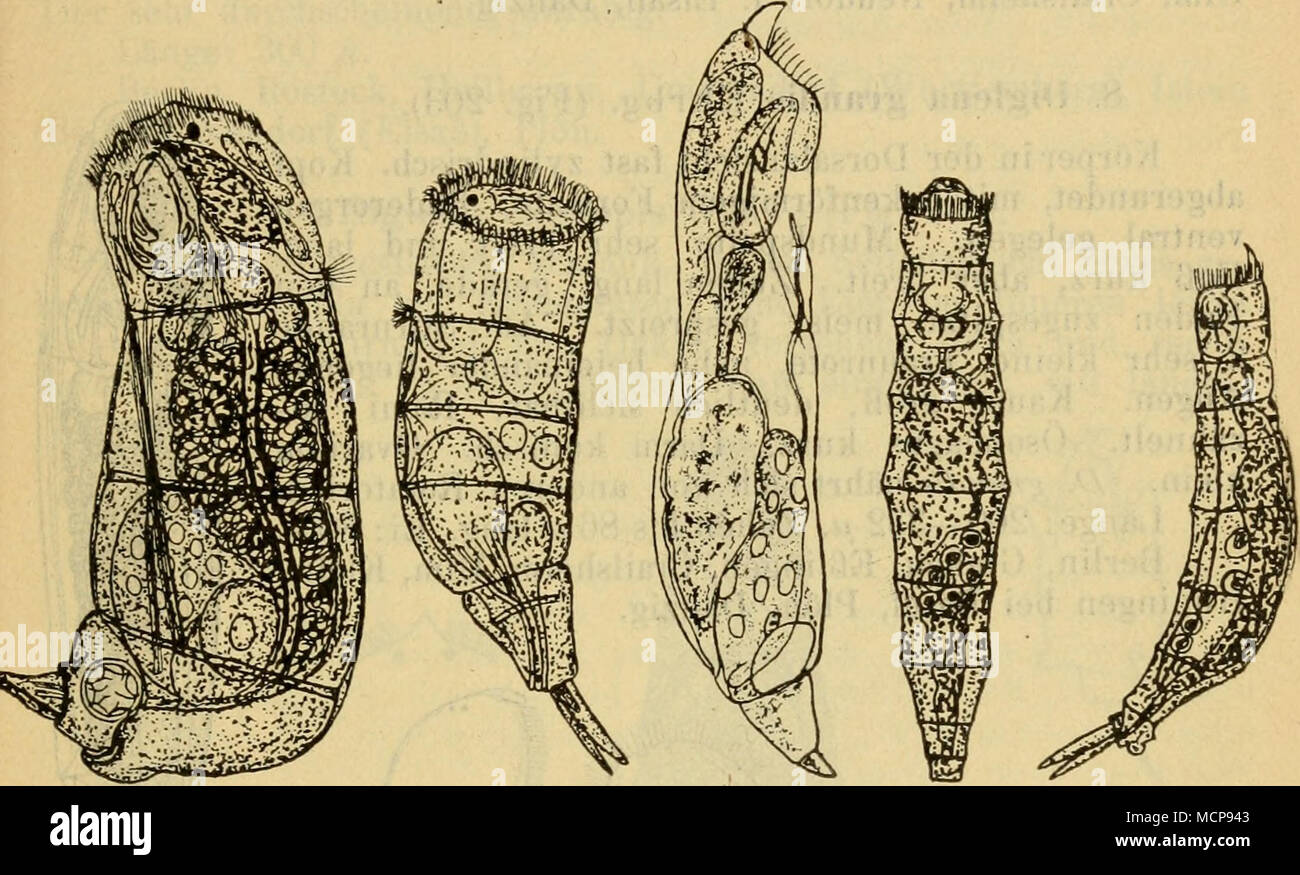 Er 201 -Fotos und -Bildmaterial in hoher Auflösung – Alamy